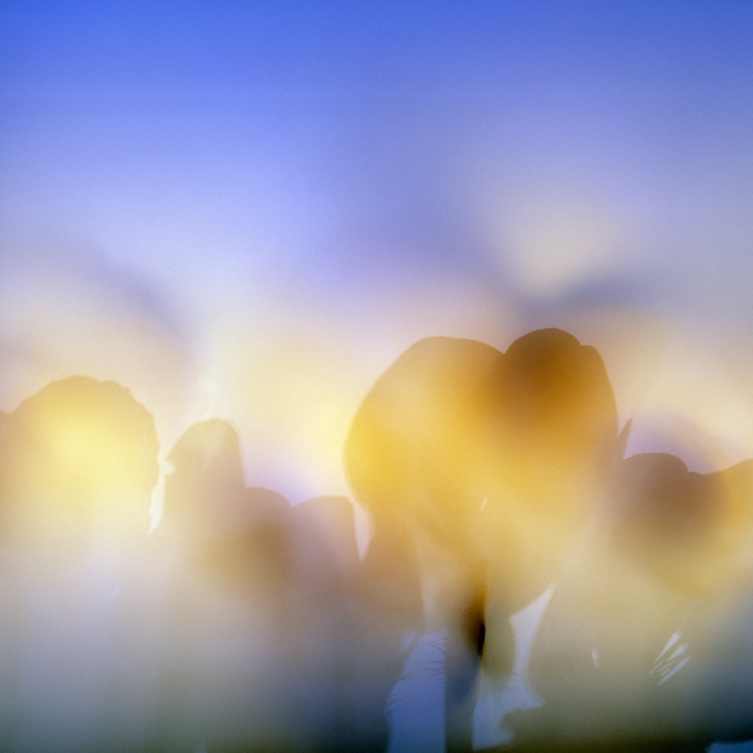 David Dennison Photography